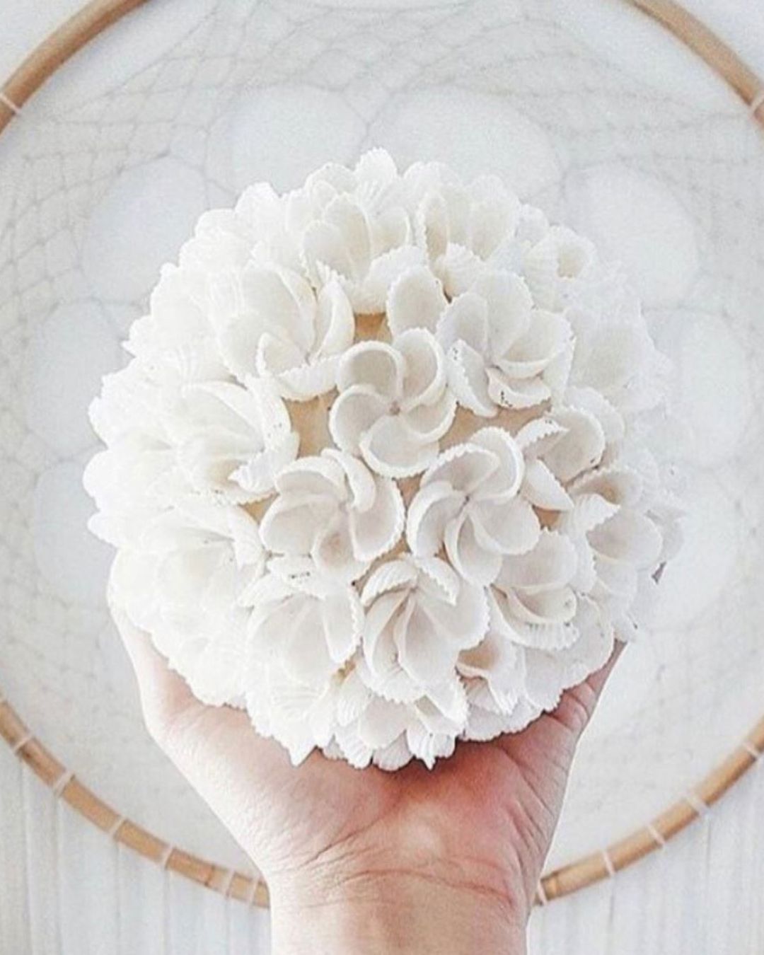 Shell Flower Ball Decor in Frangipani | Coastal Home Decor | Sun ...